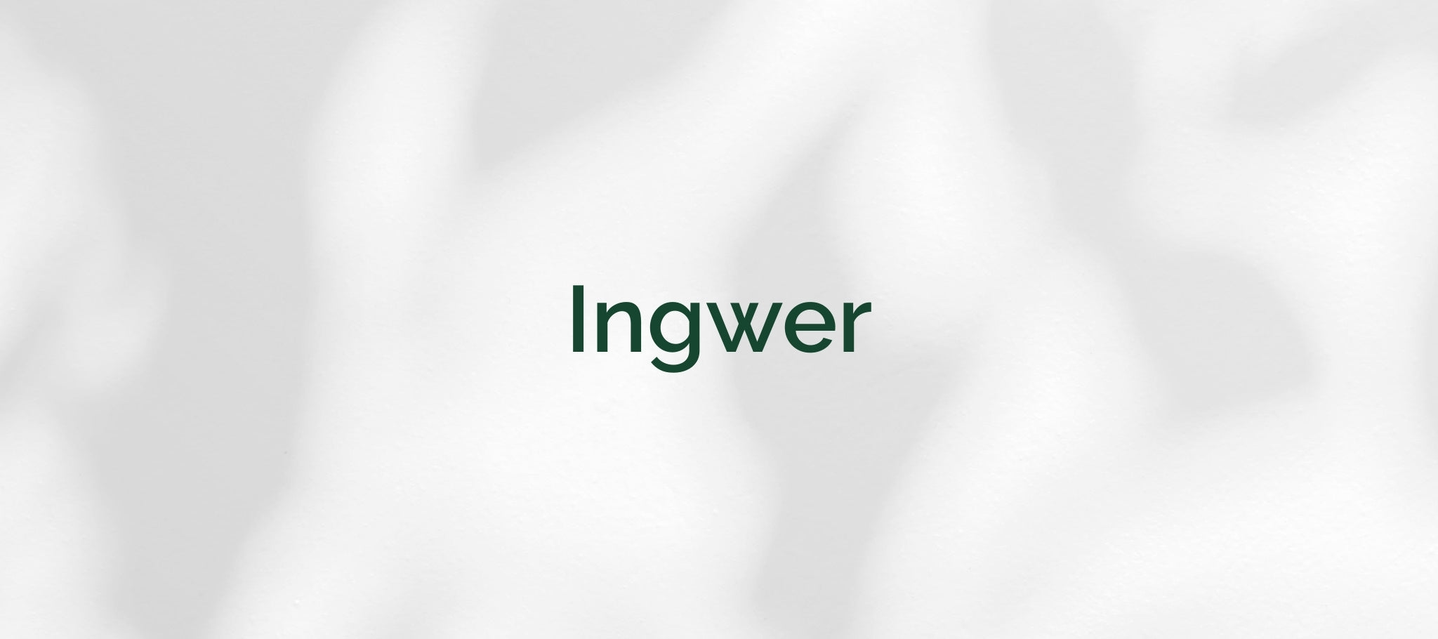 Was ist Ingwer (Zingiber officinale)? | Lebenskraftpur