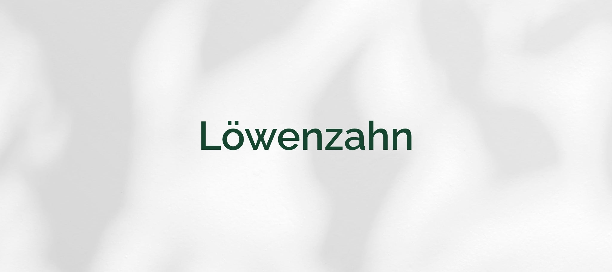 Was ist Löwenzahn (Taraxacum)? | Lebenskraftpur
