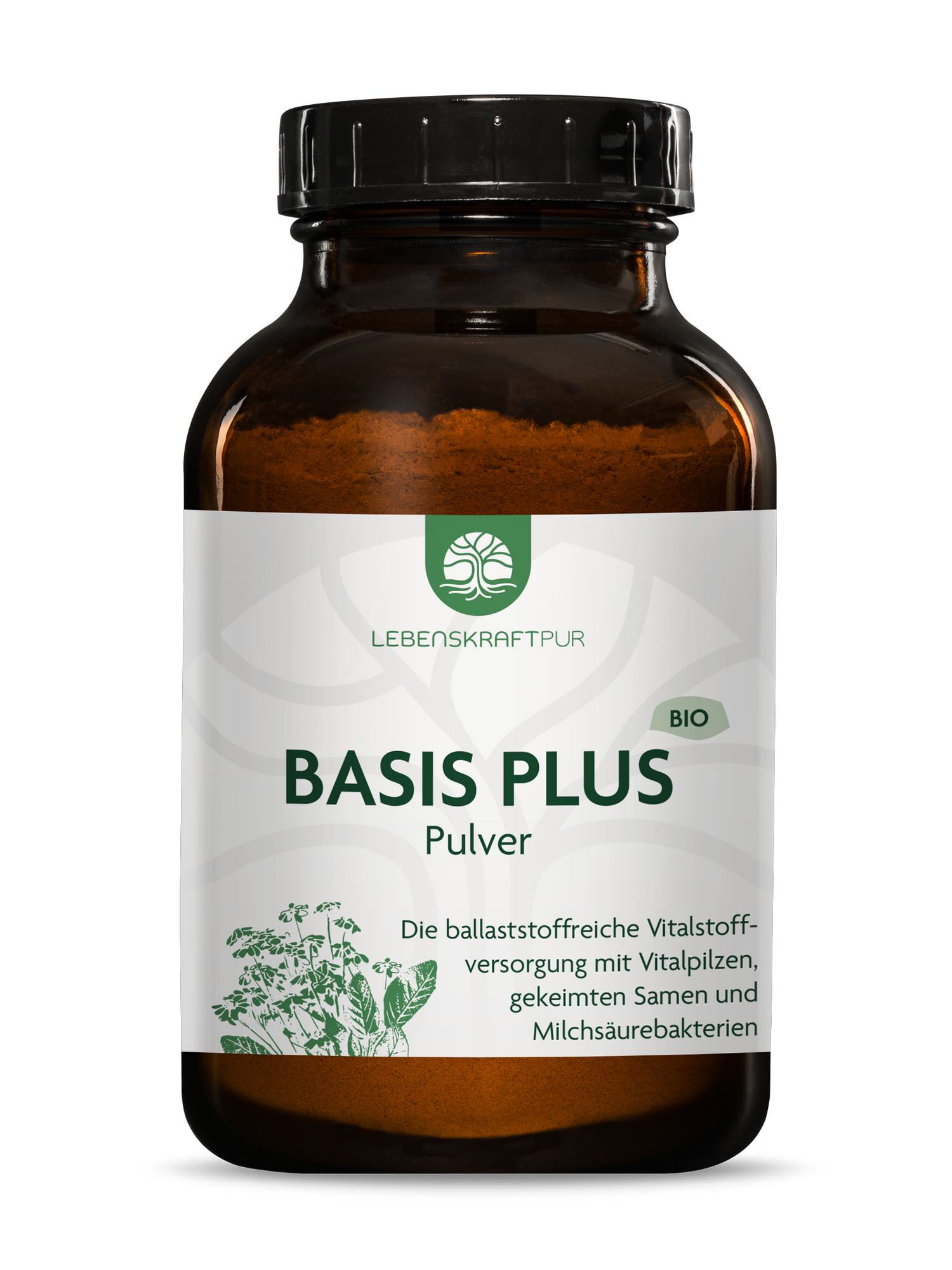 Probiotika für den Darm: Bacillus subtilis & Co.