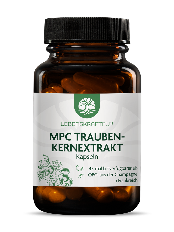 Traubenkernextrakt mit OPC/MPC: Wirkung